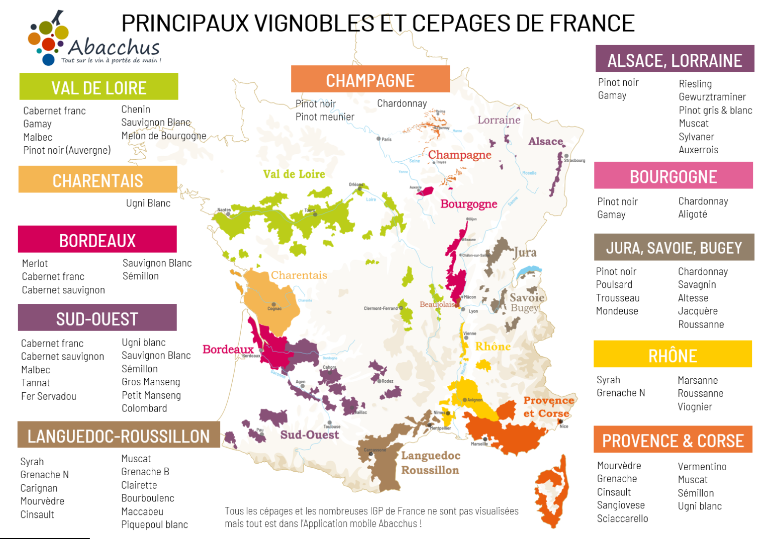 Les cépages à connaître pour comprendre l’identité des vins. - La ...