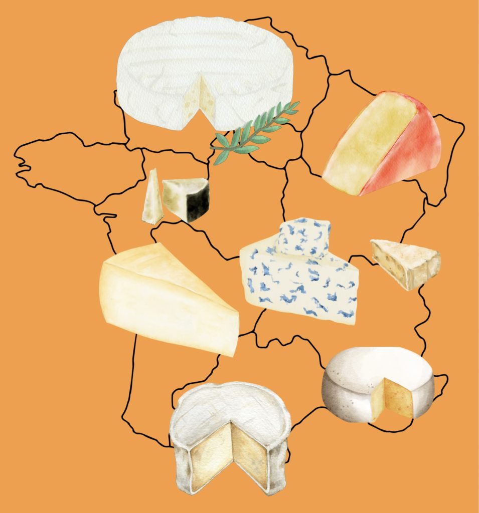 Quelle région fromagère pour quels fromages ? La carte de France des ...